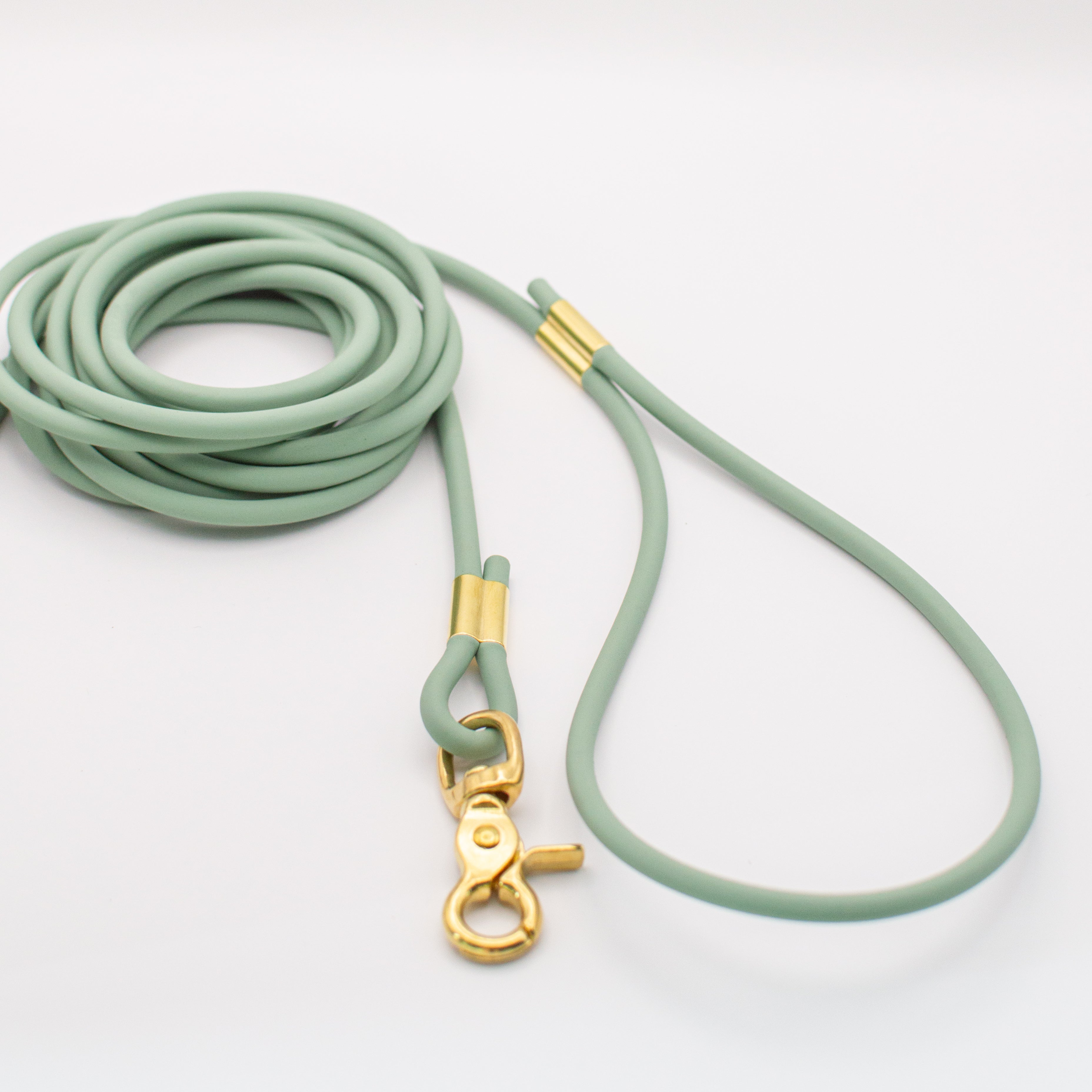 Rolled Biothane Dog Leash | Wanderlust Pup Co.